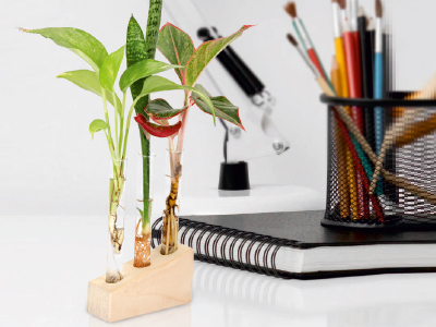 Test Tube Planter Gardencia Technology